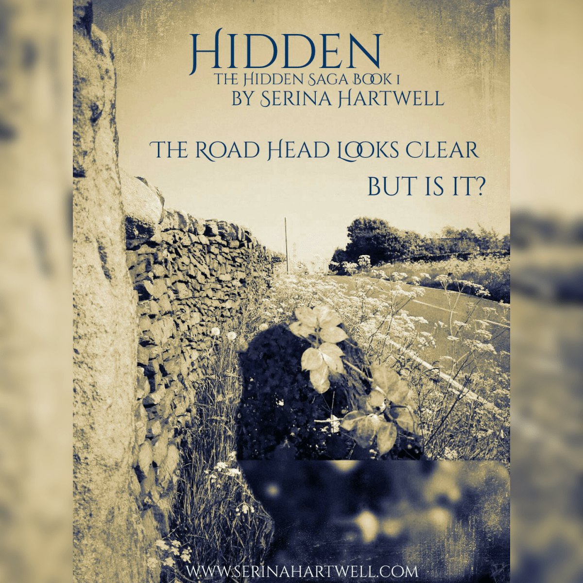 Hidden – Bullying – The Road Ahead Looks Clear, but is it? | Serina ...